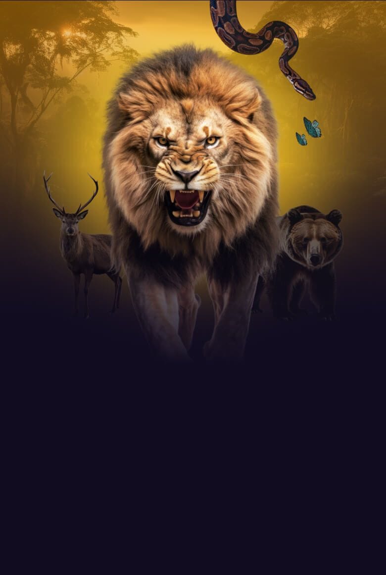 iMoon Gaming: Leading iGaming Provider for Premium Online Game Solutions