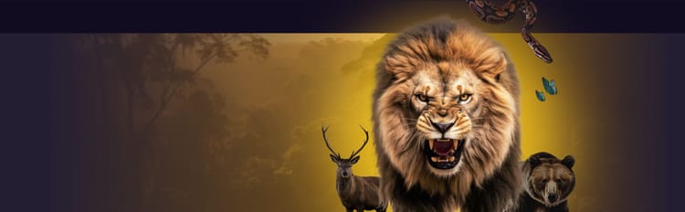 iMoon Gaming: Leading iGaming Provider for Premium Online Game Solutions